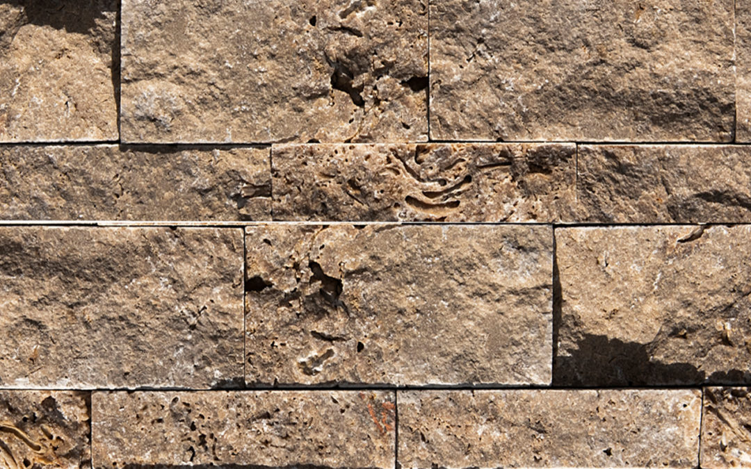 Dark Noce Color Page | Aquabella Employee Site